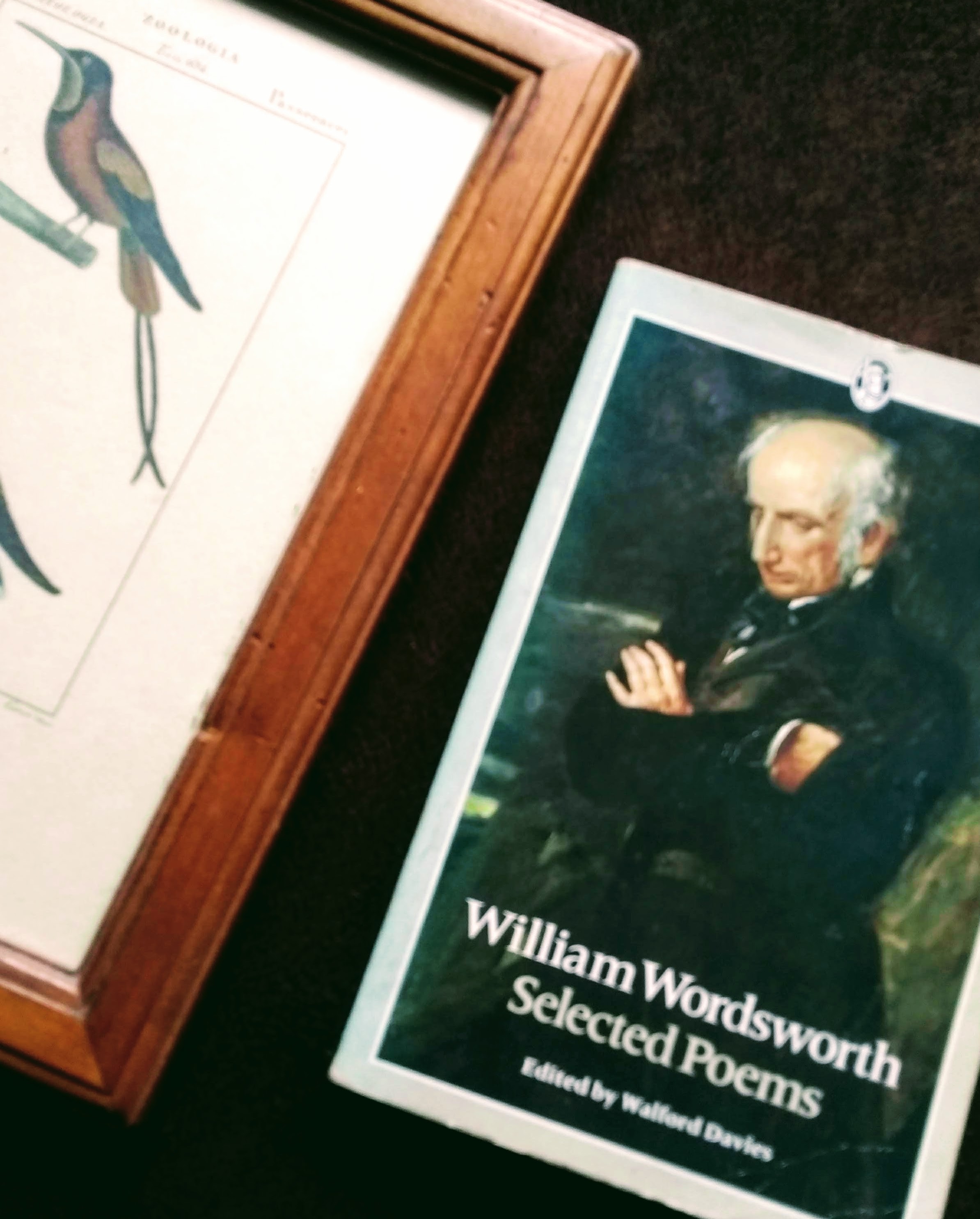 Mr Wordsworth Quotes