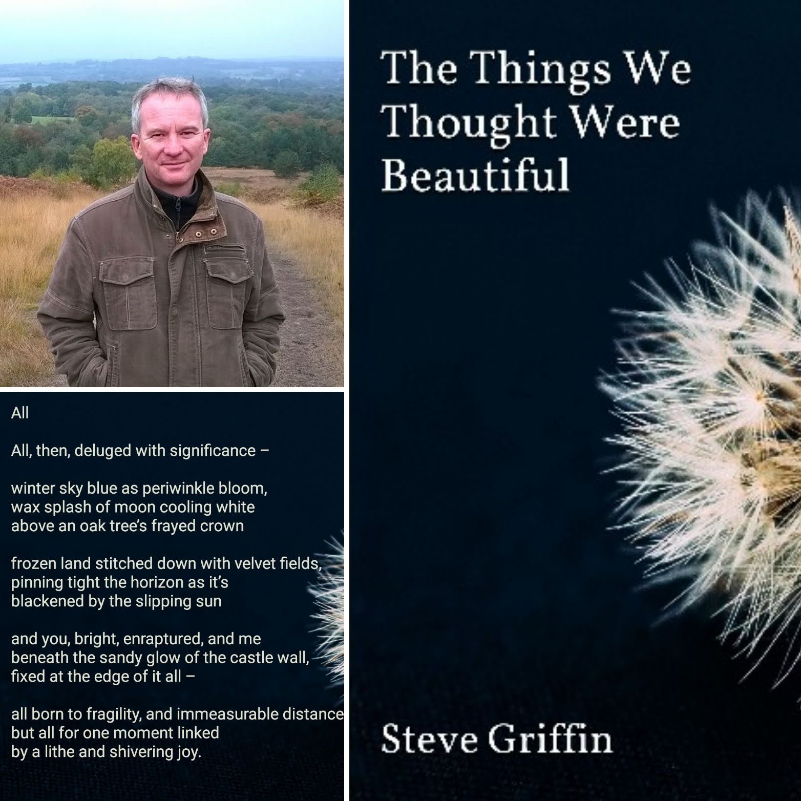 The Things We Thought Were Beautiful Archives - Steve Griffin